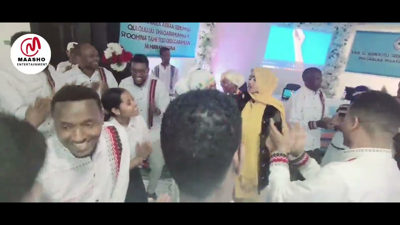 Maasho Abdurahman - Oromo Concert Music 2024 #Oromoconcert #oromomusic ...