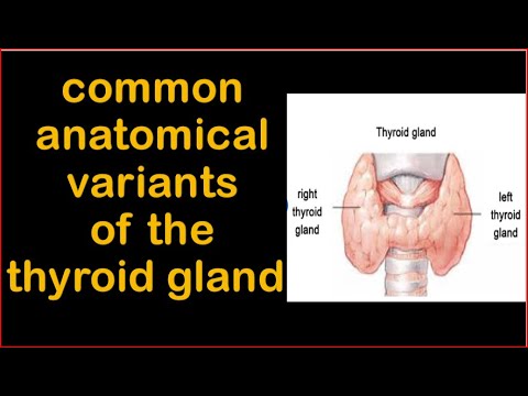 Anatomical variants of the thyroid gland - YouTube