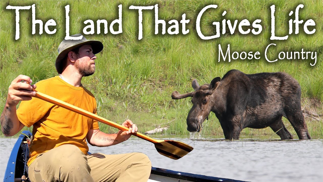 24-Day Solo Canoe Trip / THE LAND THAT GIVES LIFE (Moose Country) PART ...