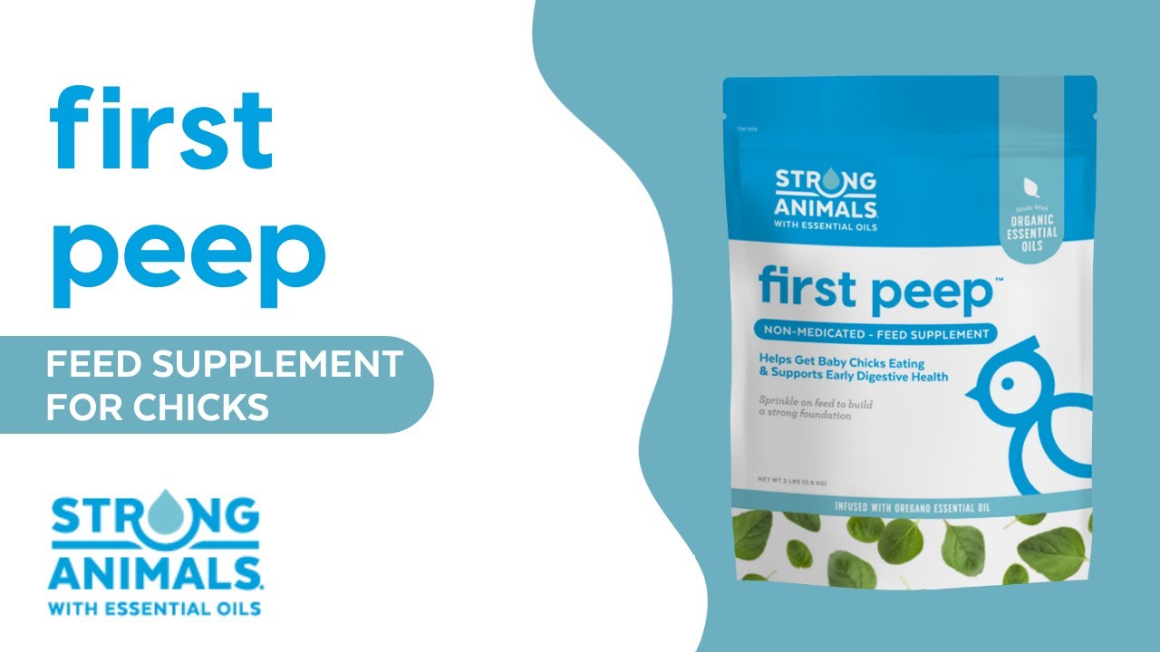 First Peep™ Chick Feed Supplement | Strong Animals® Chicken Essentials ...