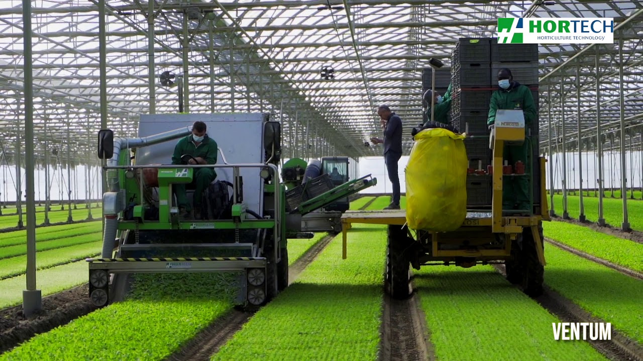 Hortech - VENTUM - YouTube