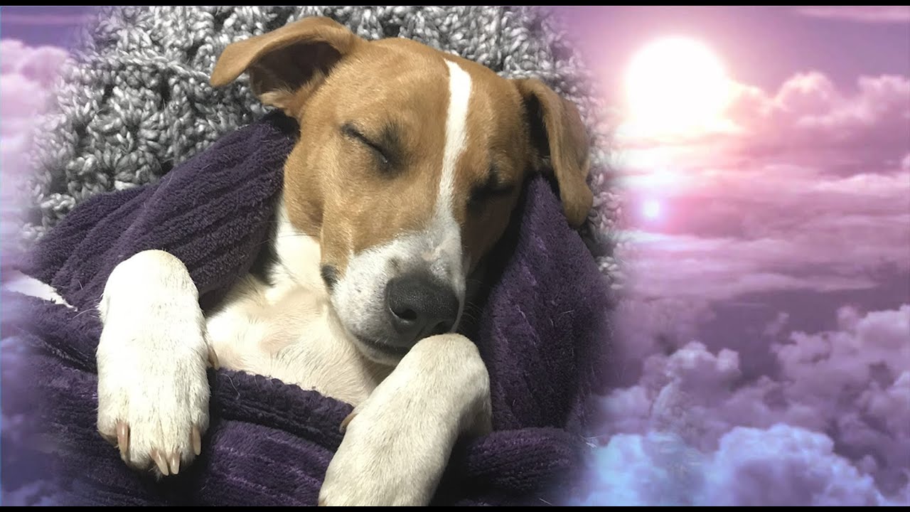 Stompie - 08.07.2016 - 03.09.2021 - YouTube