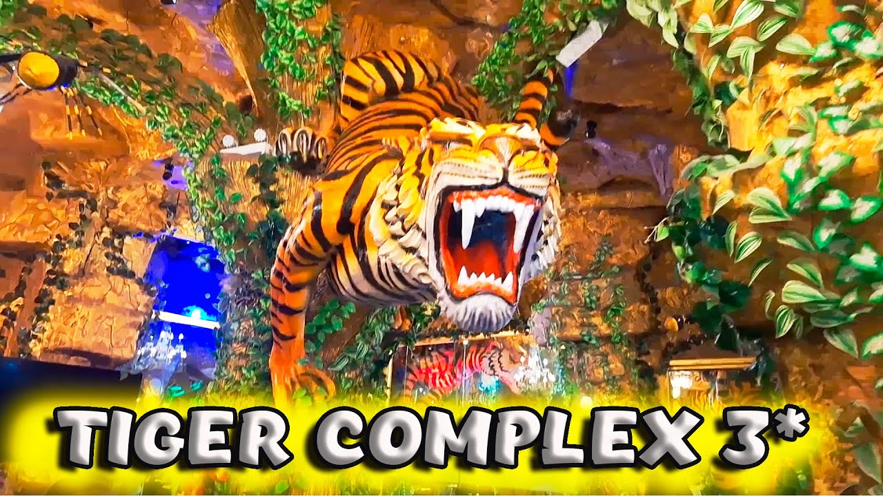 Отель Tiger complex hotel 3* 🐯 Обзор номера. Стоимость перелёта и гостиницы ️ - YouTube