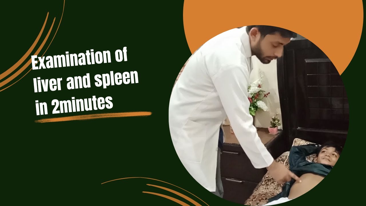 Examination of liver and spleen. - YouTube