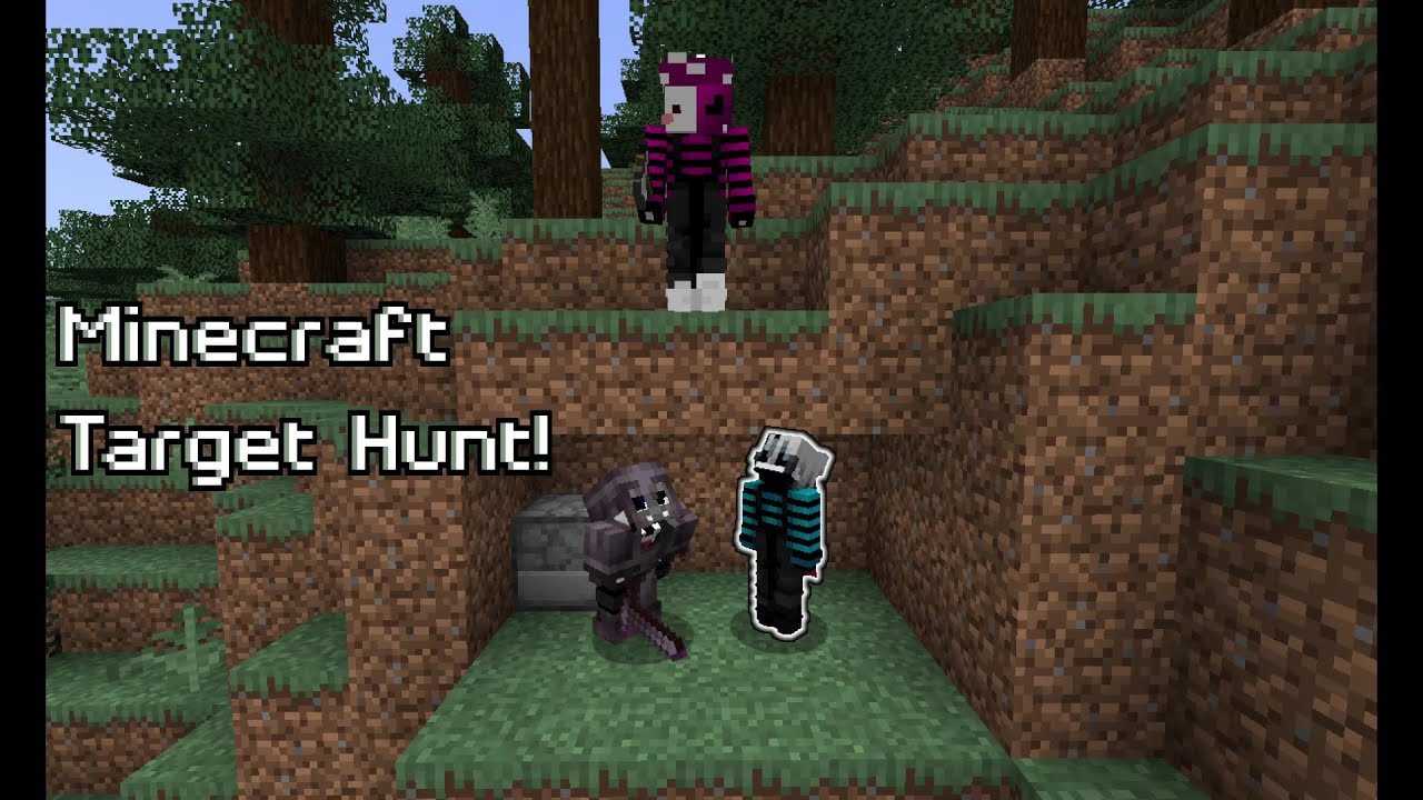 Minecraft Target Hunt! - YouTube