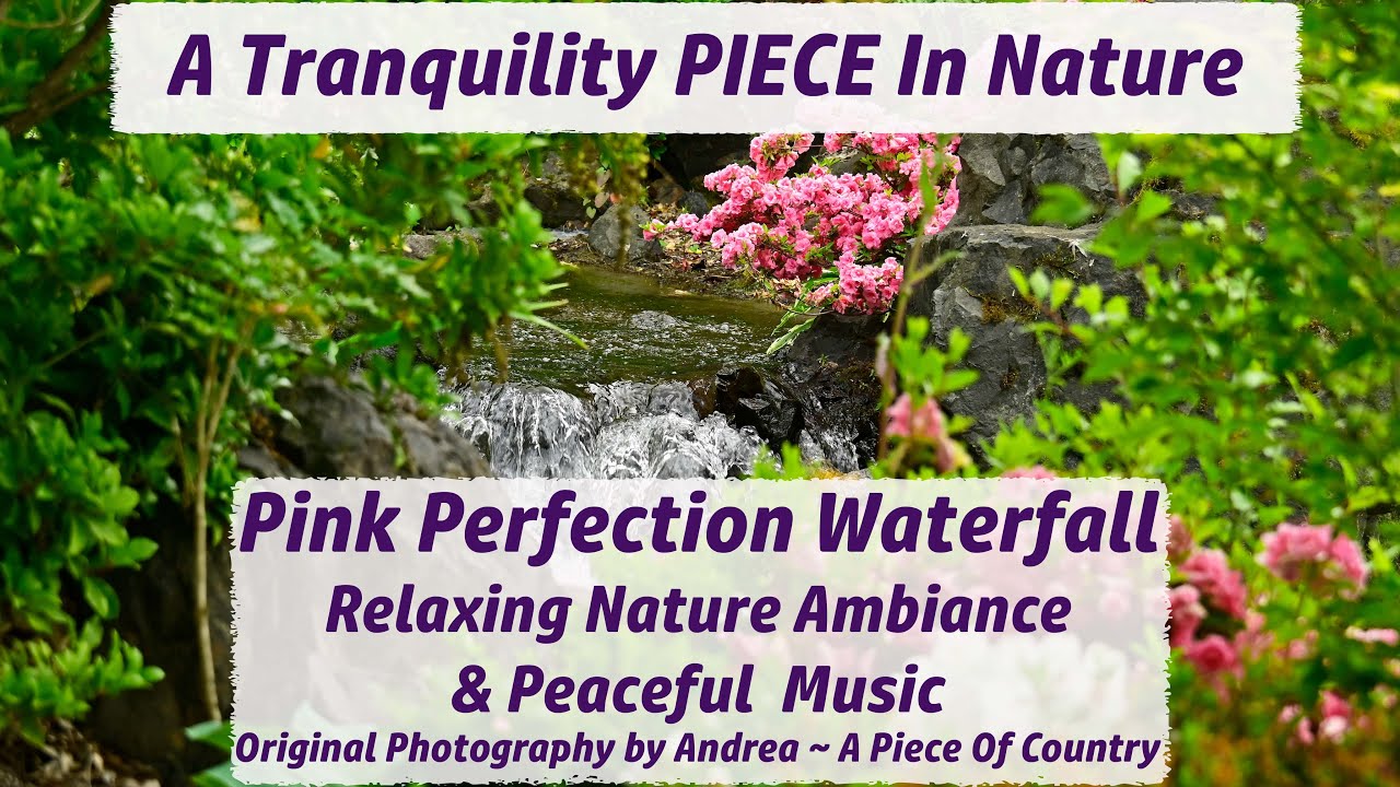 Pink Perfection Waterfall ~ Relaxing Nature & Peaceful Music ~ 4K ...