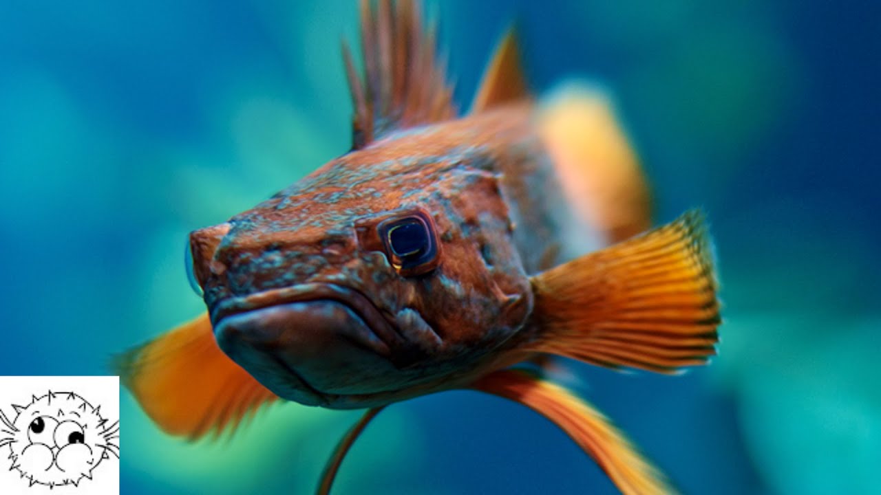 1 Bit 2 Bit 4 Bit 8 Bit 16 BIT 32 Bit 128 Bit 256 Bit 512 Bit 1024 Bit ...