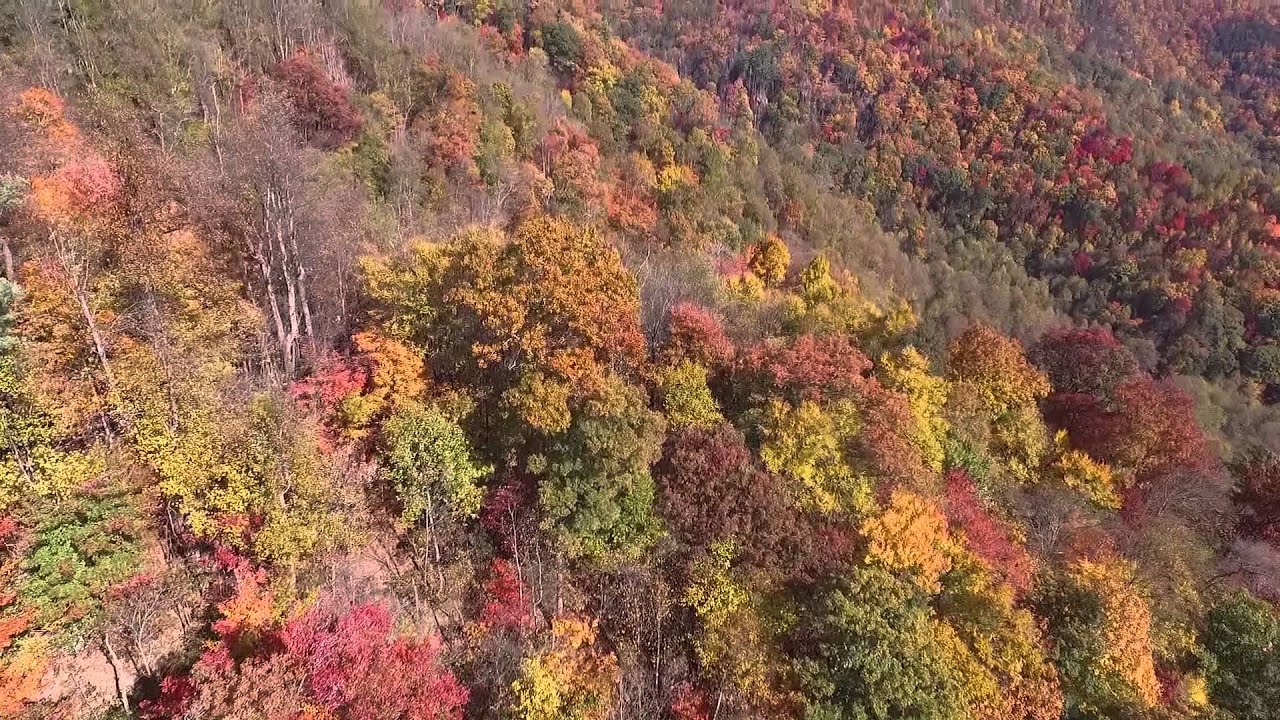 DJI Phantom 3 flight over Boone North Carolina Blue Ridge Parkway fall ...