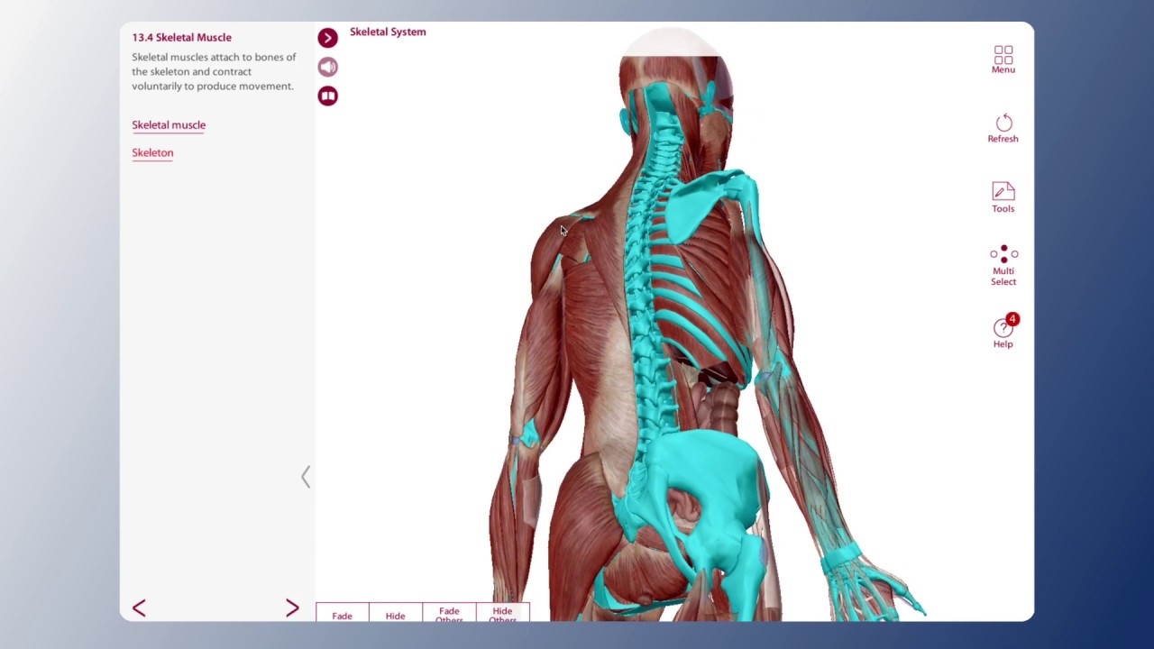 Pajaro Valley High School muscle tissue lesson | Sample Courseware ...