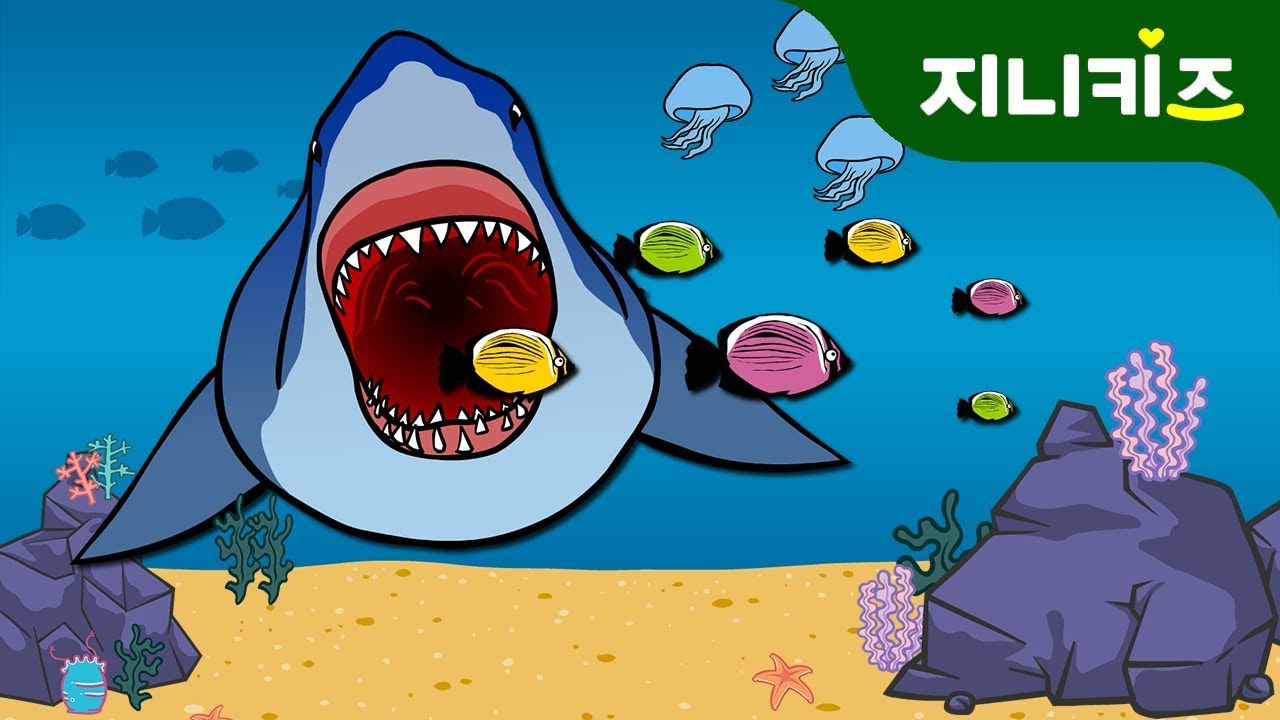 상어가 나타났다~ 도망쳐 식인상어의 종류와 대처법 백상아리 뱀상어 홍살귀상어 청새리상어★지니키즈 Youtube
