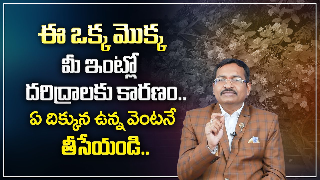 BVSS Reddy : Vastu for Trees in Home || Best Home Vastu Tips || Vastu ...