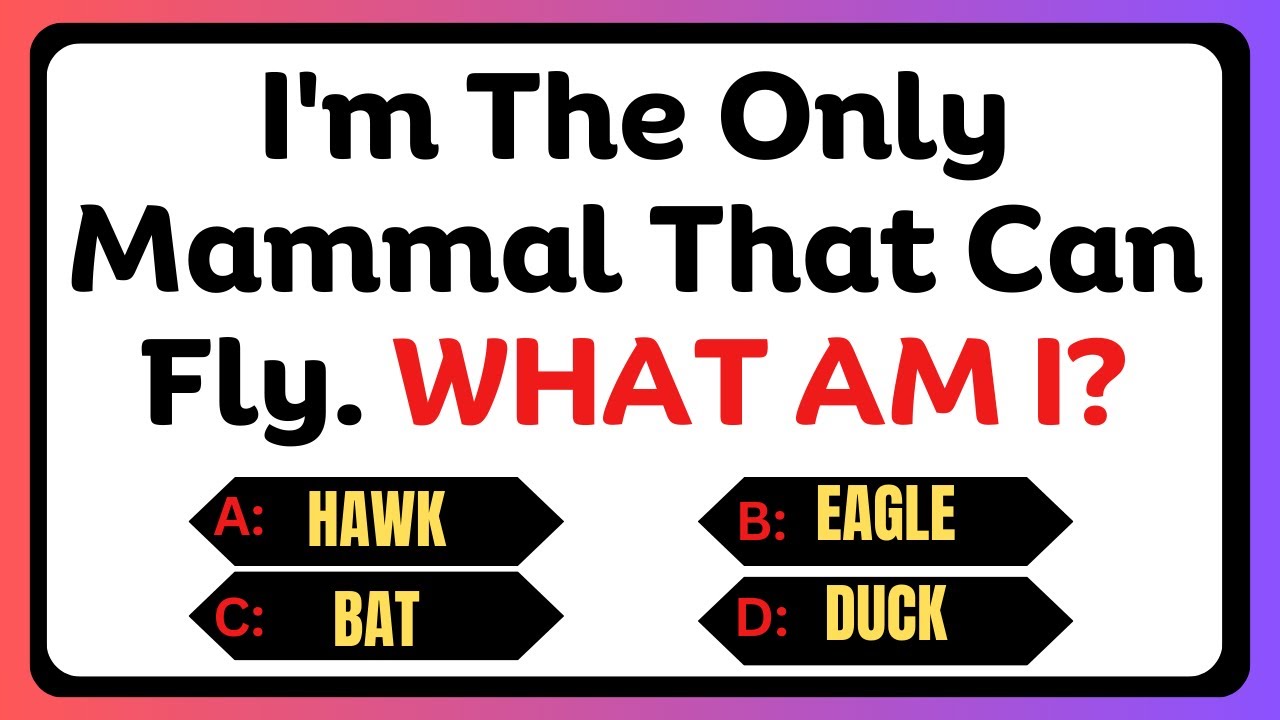 40 Tricky Trivia Questions Only a Genius Can Answer | Challenge 2 - YouTube