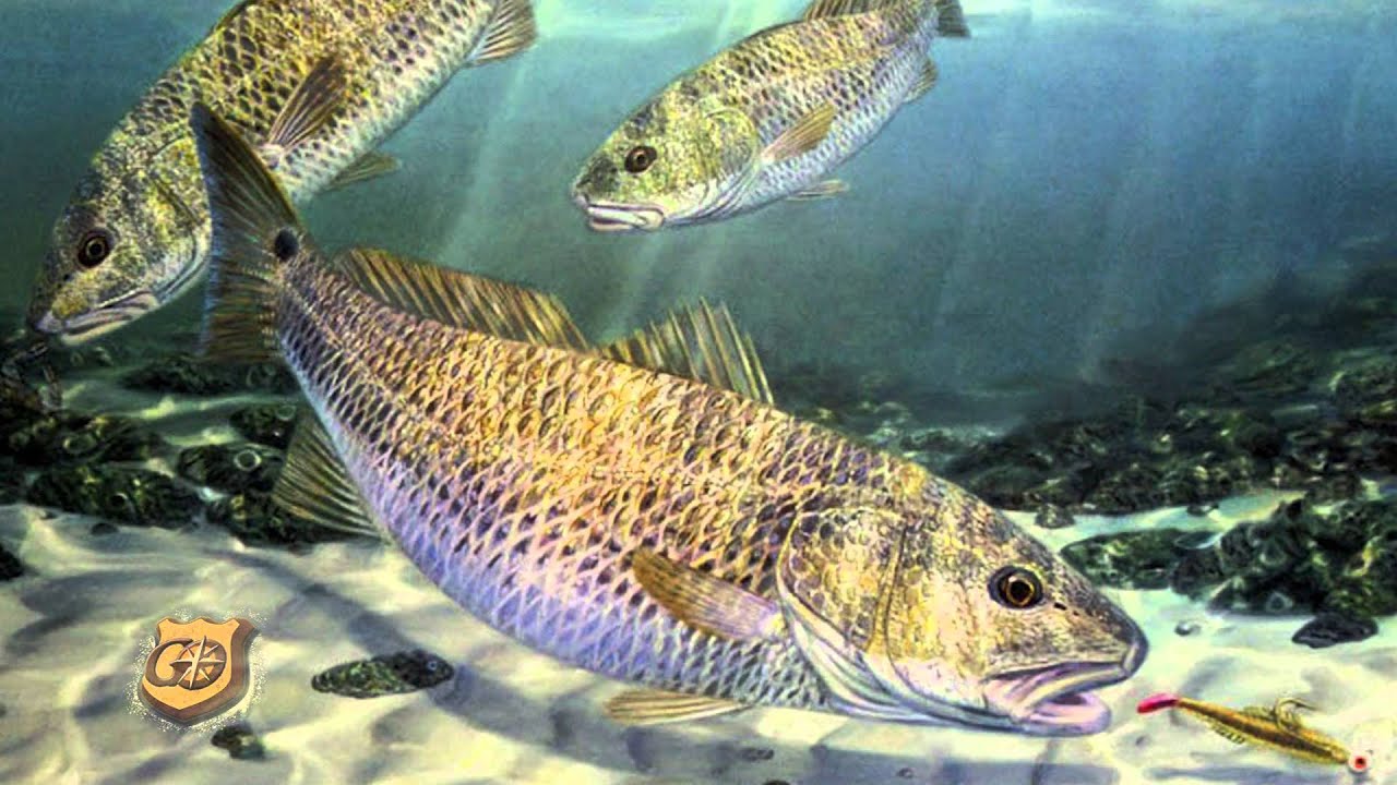 GO Art with Jessica Zayas-Rivera Featuring Randy McGovern - YouTube