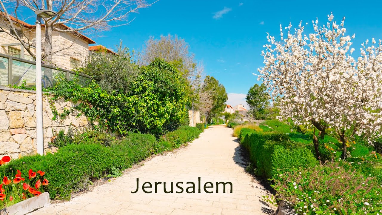Blooming Jerusalem. The Inexpressible Beauty of the City in Spring ...