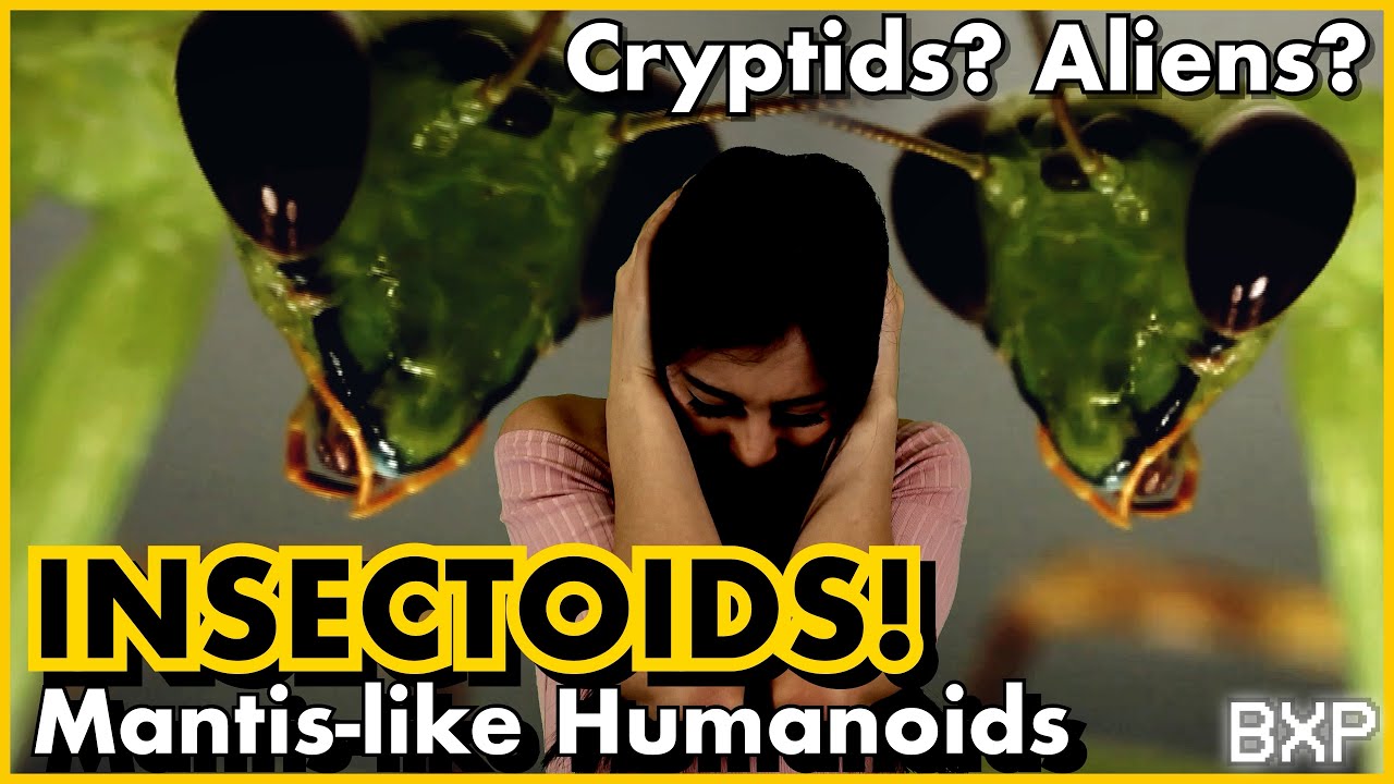 Alien Mantis Humanoid Encounters! Chicago, Greenville, Philly, Sedona ...