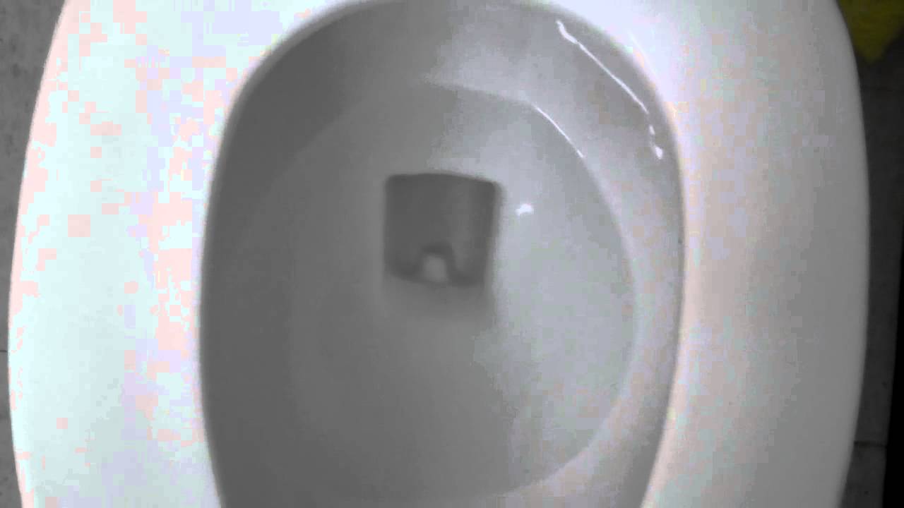 3791: Comfort Height Early-Mid 2000's Eljer Signature Floor Mounted ...