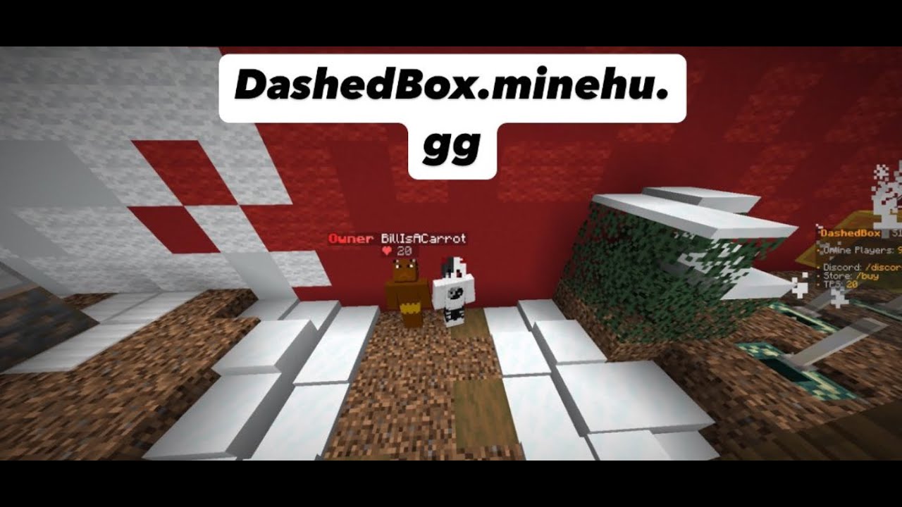 DashedBox.minehut.gg - YouTube