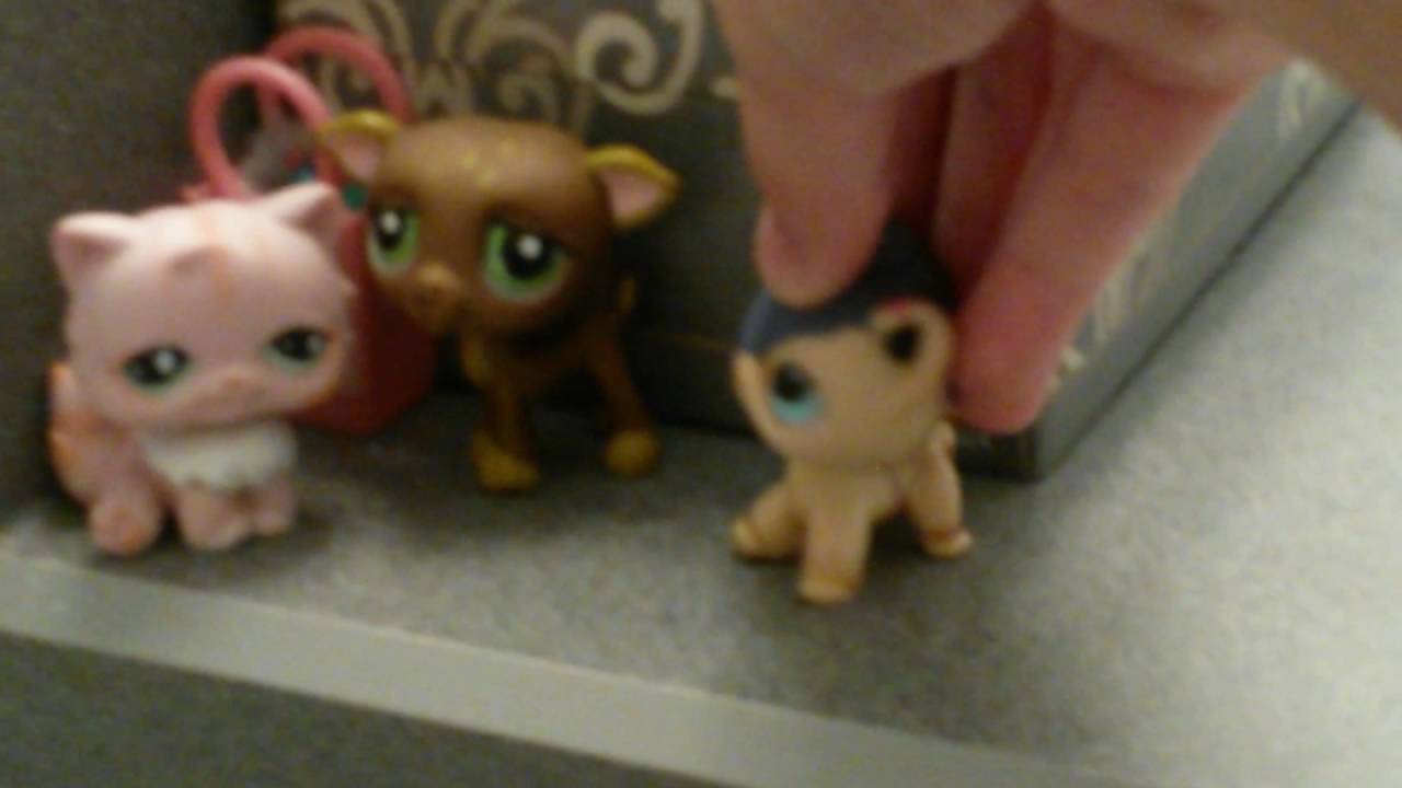 The story of Oreo the evil cat. - YouTube