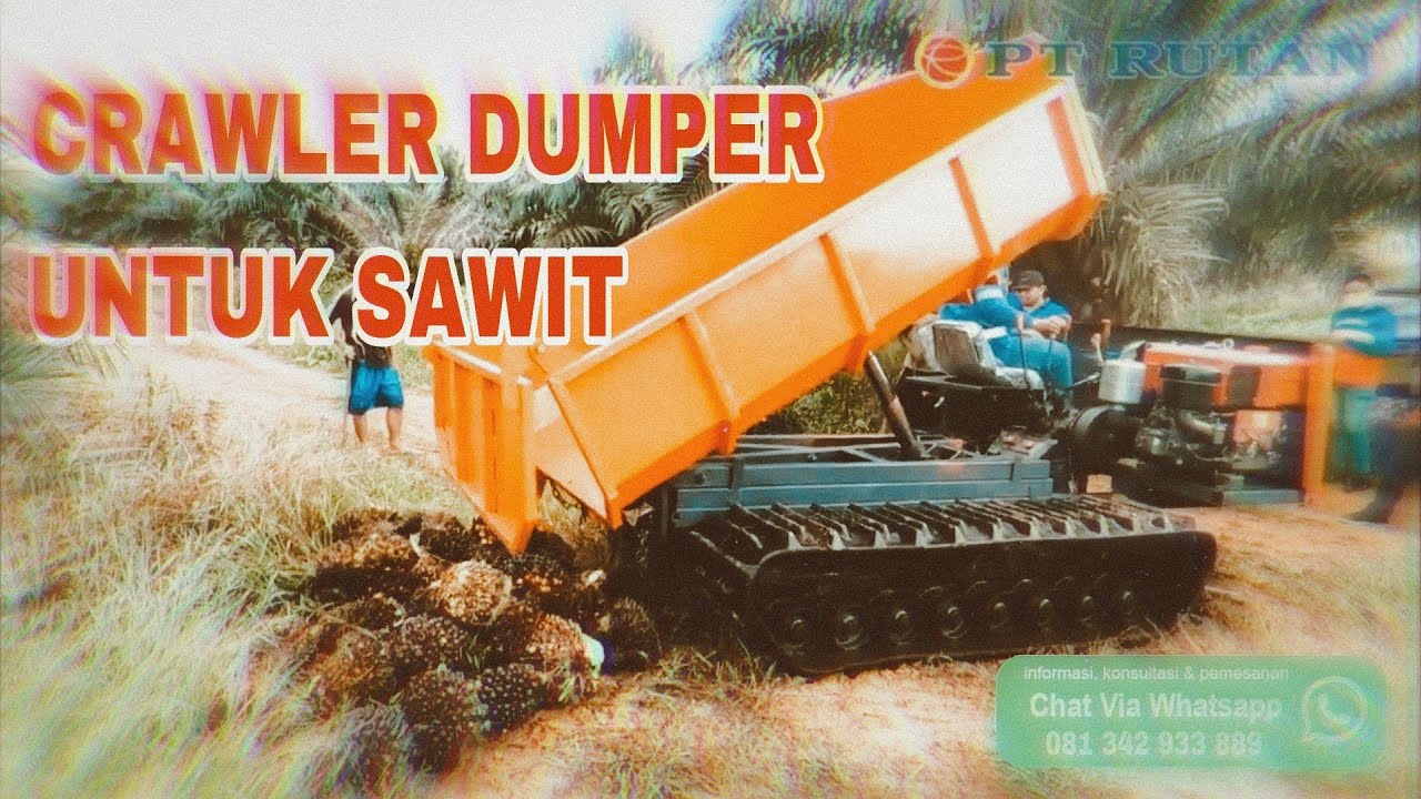 Review Dumper Kelapa Sawit ~ Alat Modern untuk pengangkutan Kelapa ...