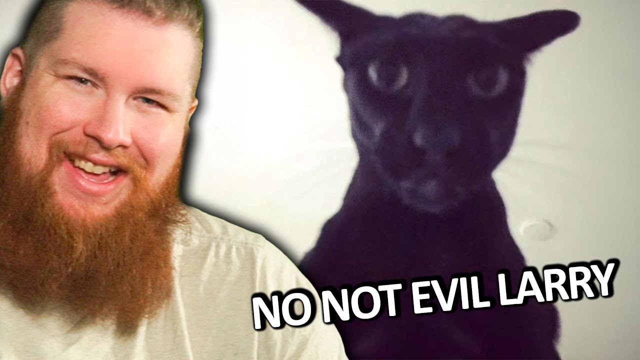 Memes That Are Oddly Funny (yet im still laughing) - YouTube