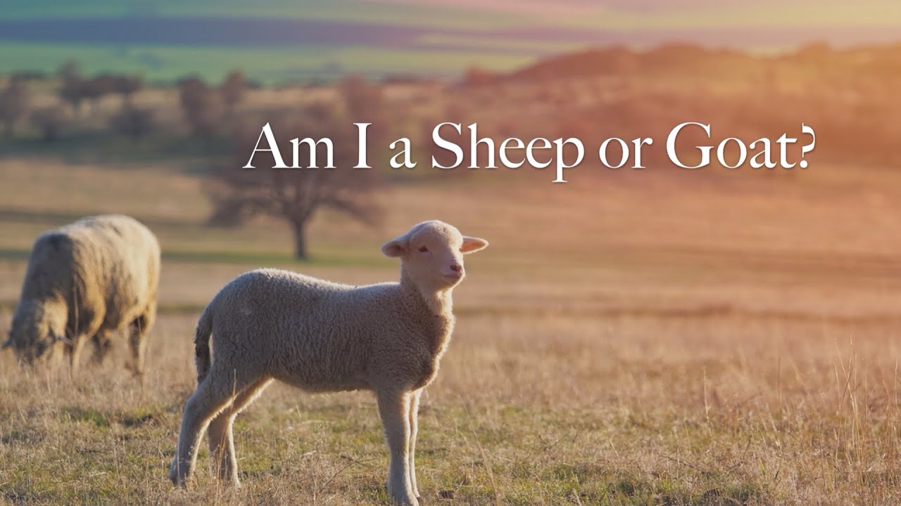 Am I a Sheep or a Goat? - YouTube