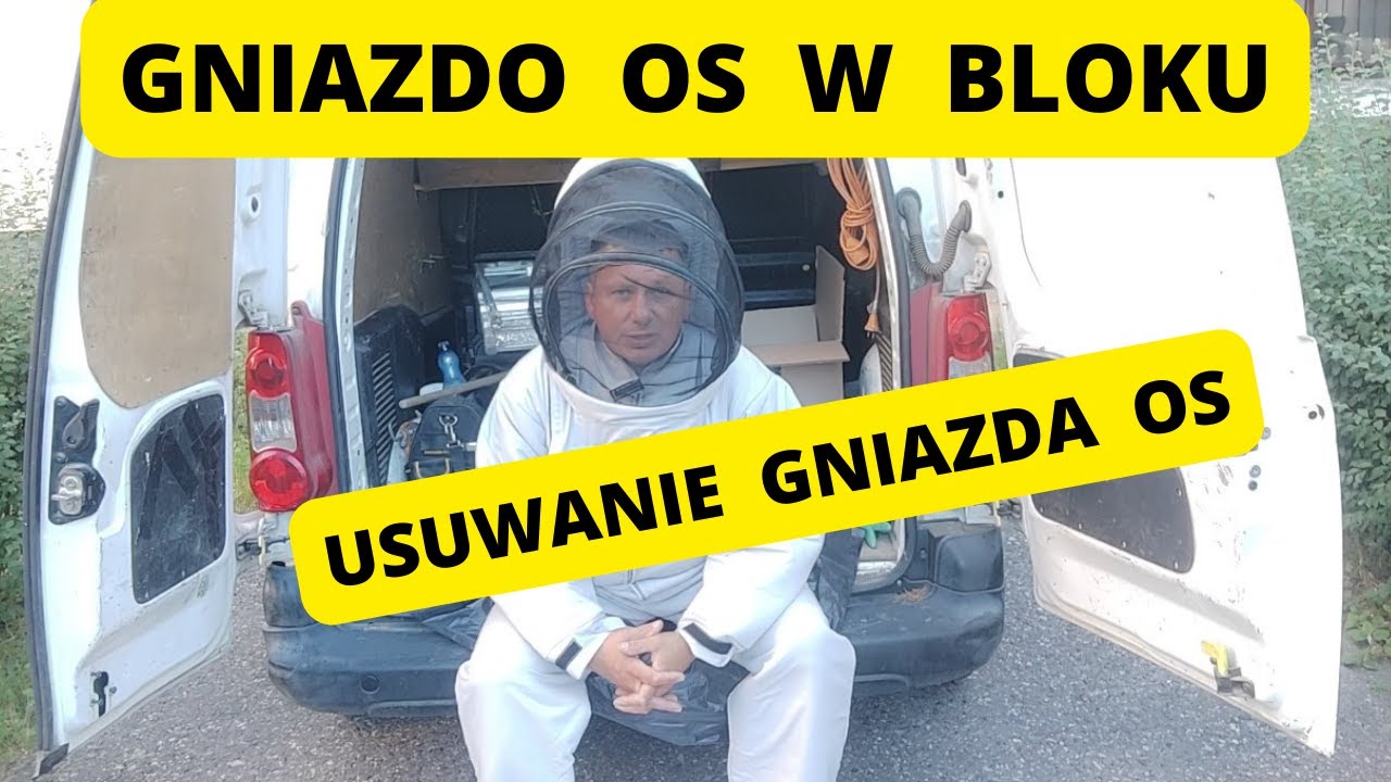 Usuwanie gniazda os w bloku - jak usunąć gniazdo os - Wigo Serwis ...