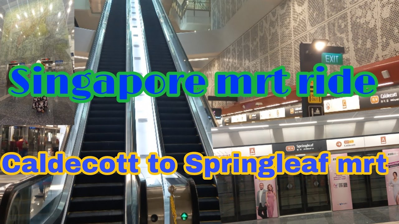 Singapore mrt ride || Caldecott to Springleaf mrt || Brownline mrt ...
