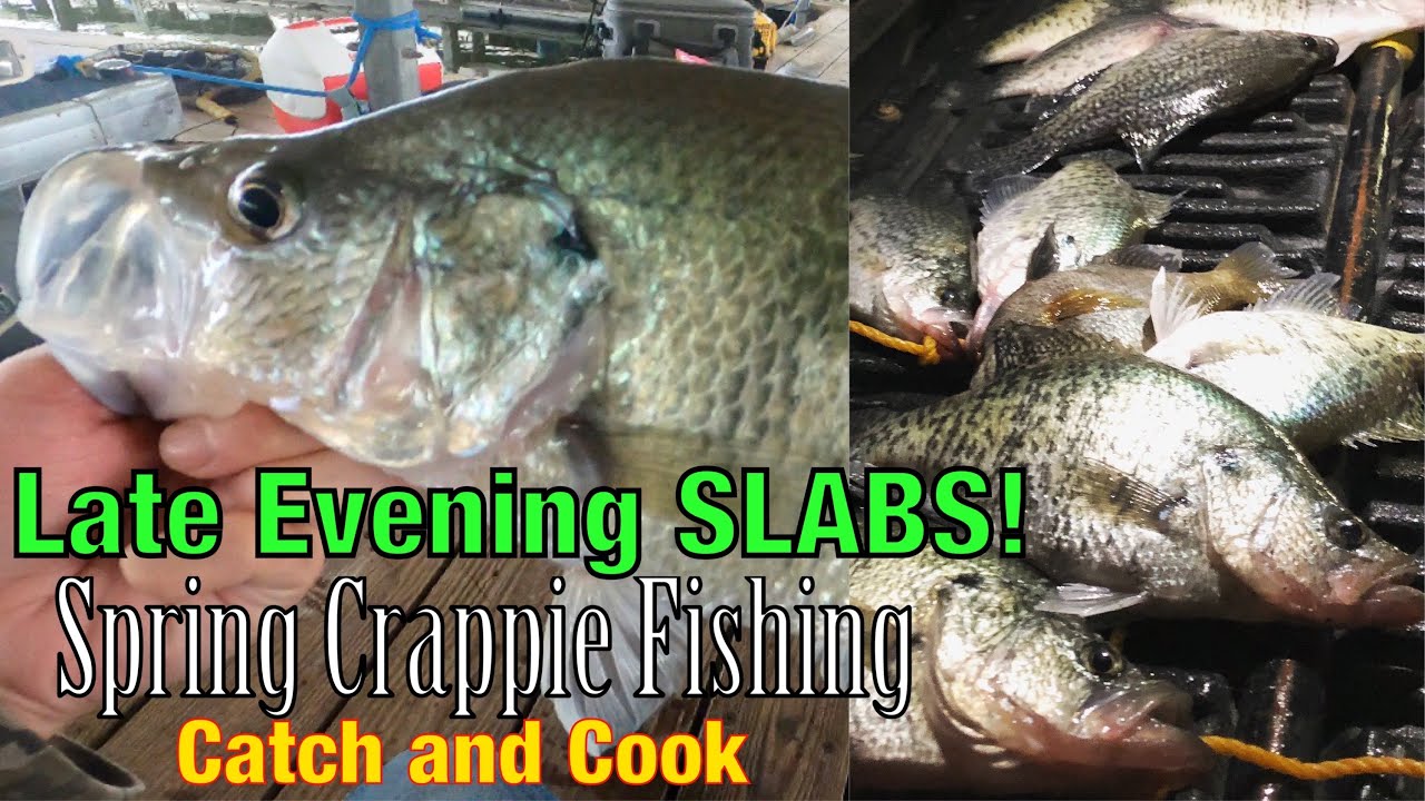 Spring Crappie Fishing | The Evening Bite | Catch and Cook - YouTube