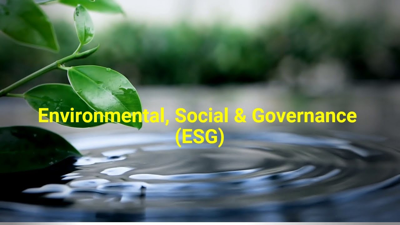 Environmental, Social, and Governance (ESG) #esg #safe # ...