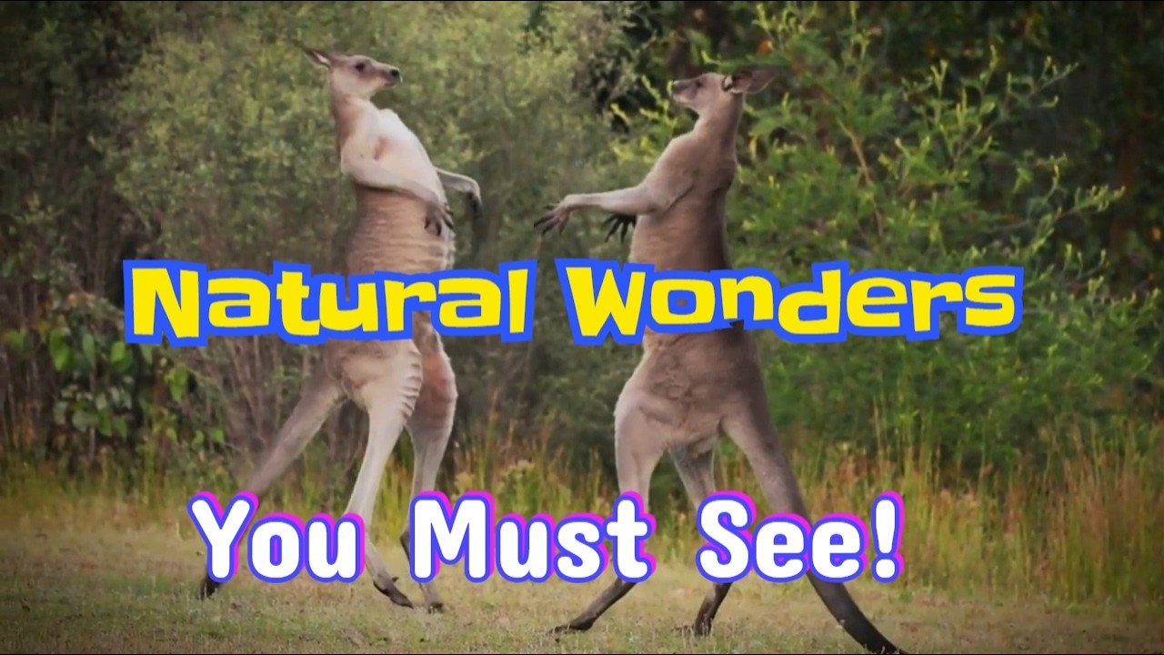 7 Natural Wonders of Australia You Won’t Believe 🦘 7 Breathtaking ...