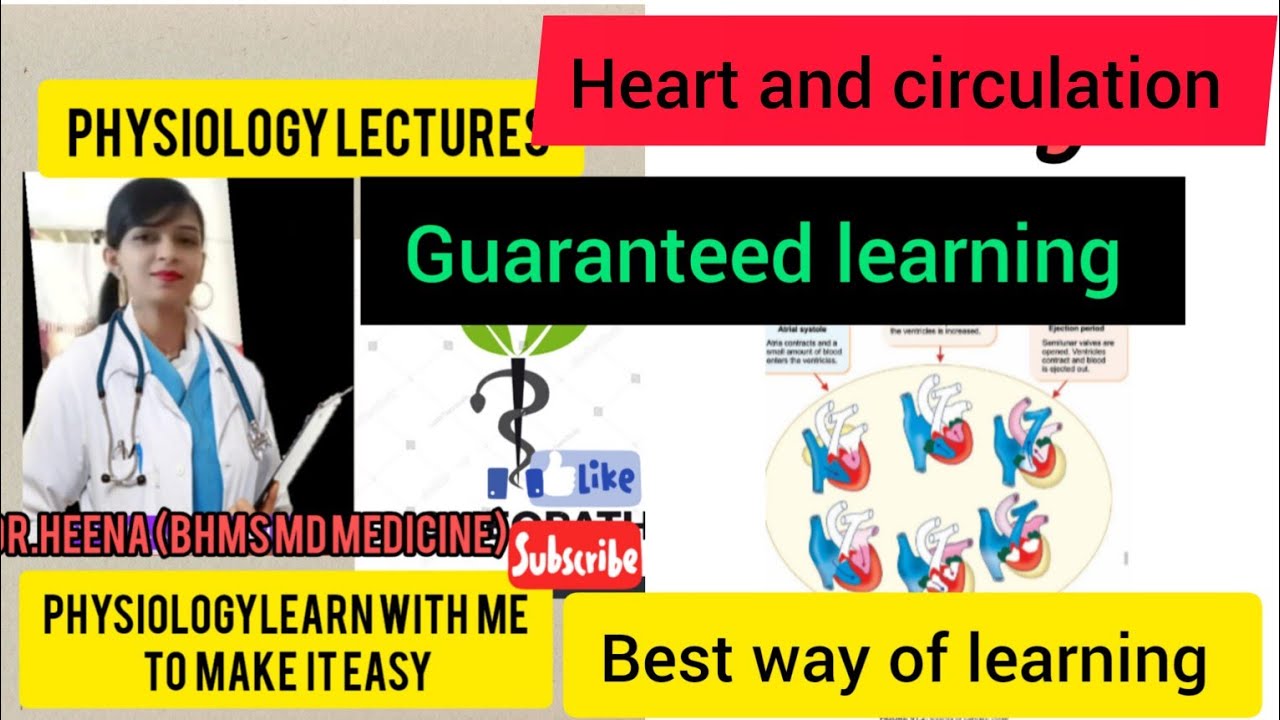 Heart and Circulation Made Simple: An Easy Guide to Understanding the ...