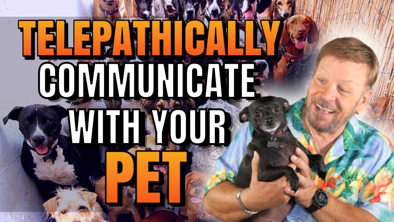How To Telepathically Communicate With Your Pets | Communicate With ...