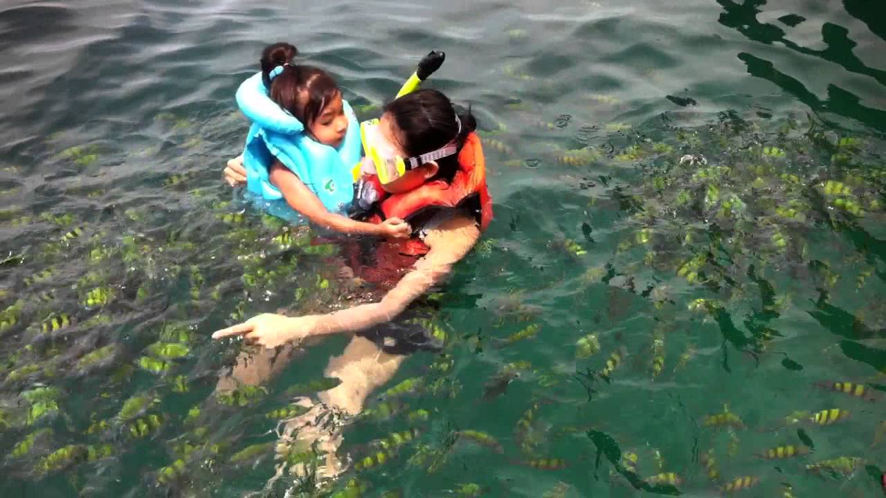 Phi Phi Lay - Feed The Fish - YouTube