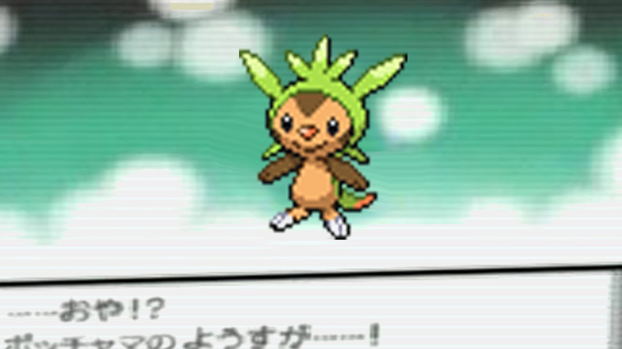 CHESPIN FINAL EVOLUTION?!? - Speed Art Drawing - YouTube