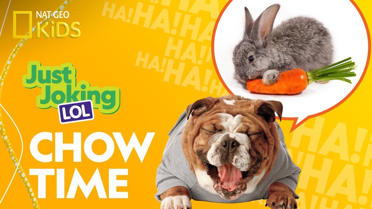 Chow Time | Just Joking—LOL - YouTube
