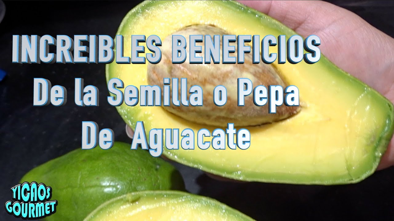 INCREIBLES BENEFICIOS de la Pepa Semilla de Aguacate #recetasyicaos # ...