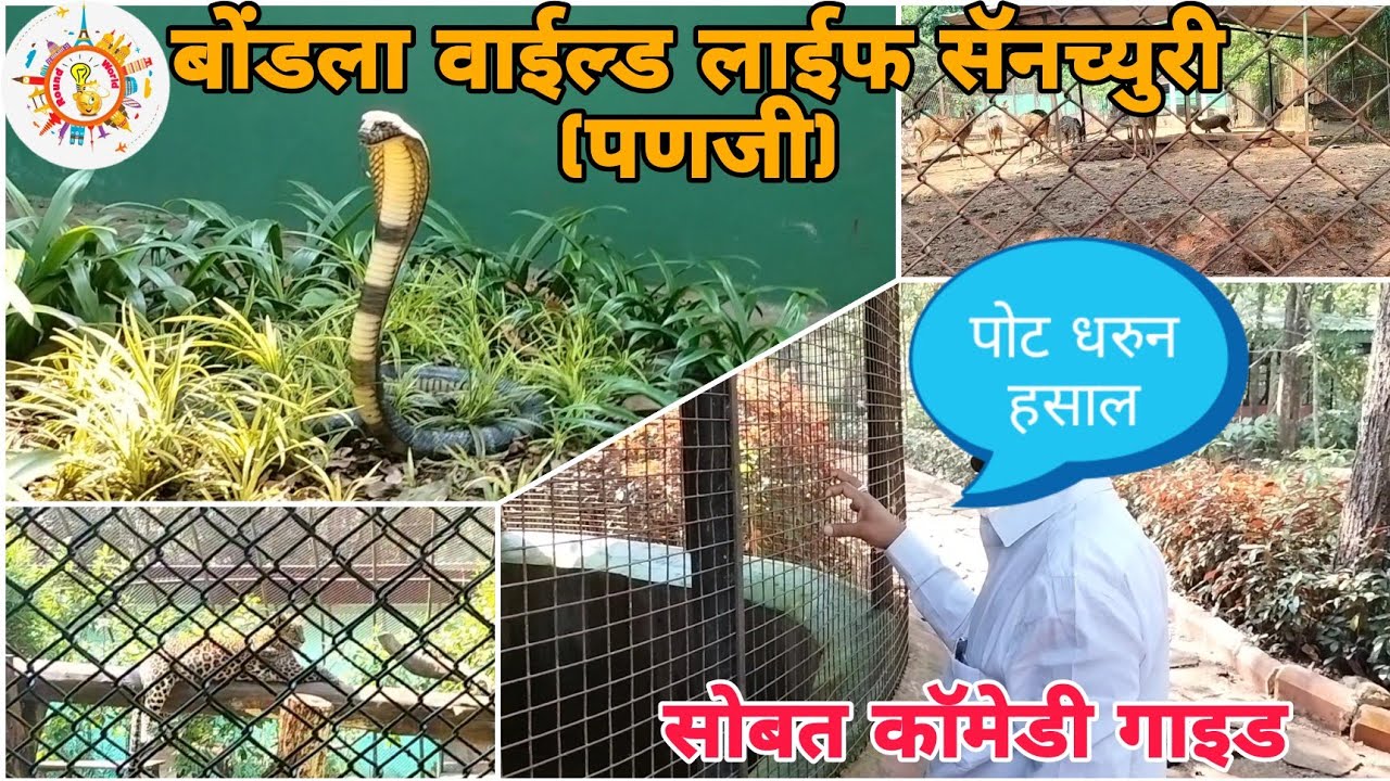 Bondala wildlife scanture/Bondala zoo/panaji wildlife/पणजी ...