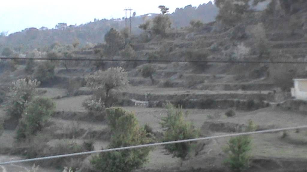 NATURE OF DWARAHAT SATYENDRA SINGH KEC DWARAHAT, BTKIT DWARAHAT ALMORA ...