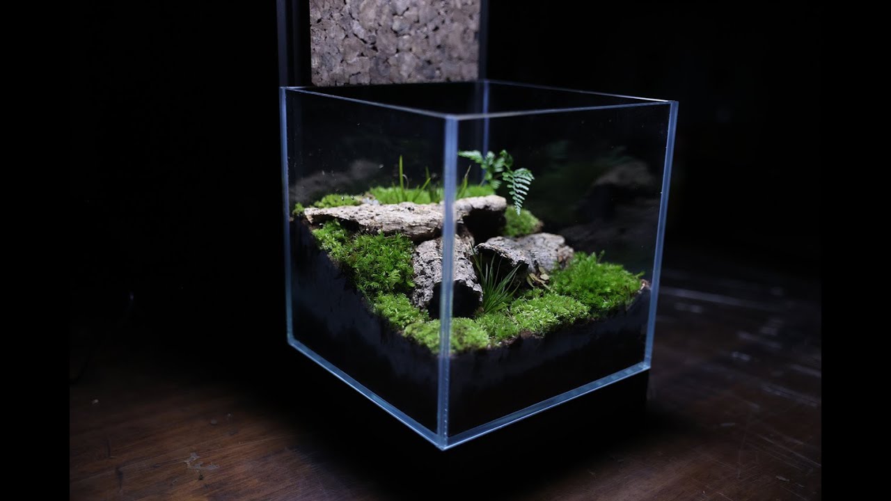 25하이큐브 미니 테라리움 만들기 | 25 Making a high cube mini terrarium - YouTube