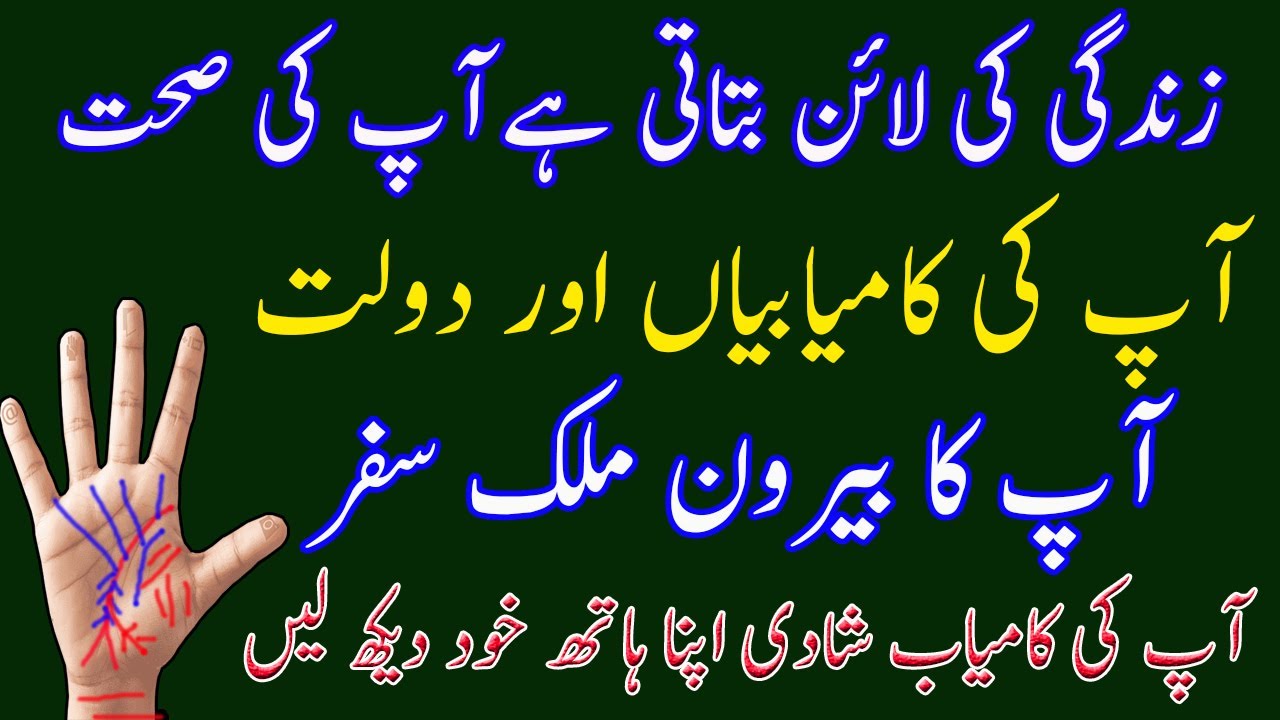 Life Line Branches _ Life Line Tell us About Our Health Money Travel ...