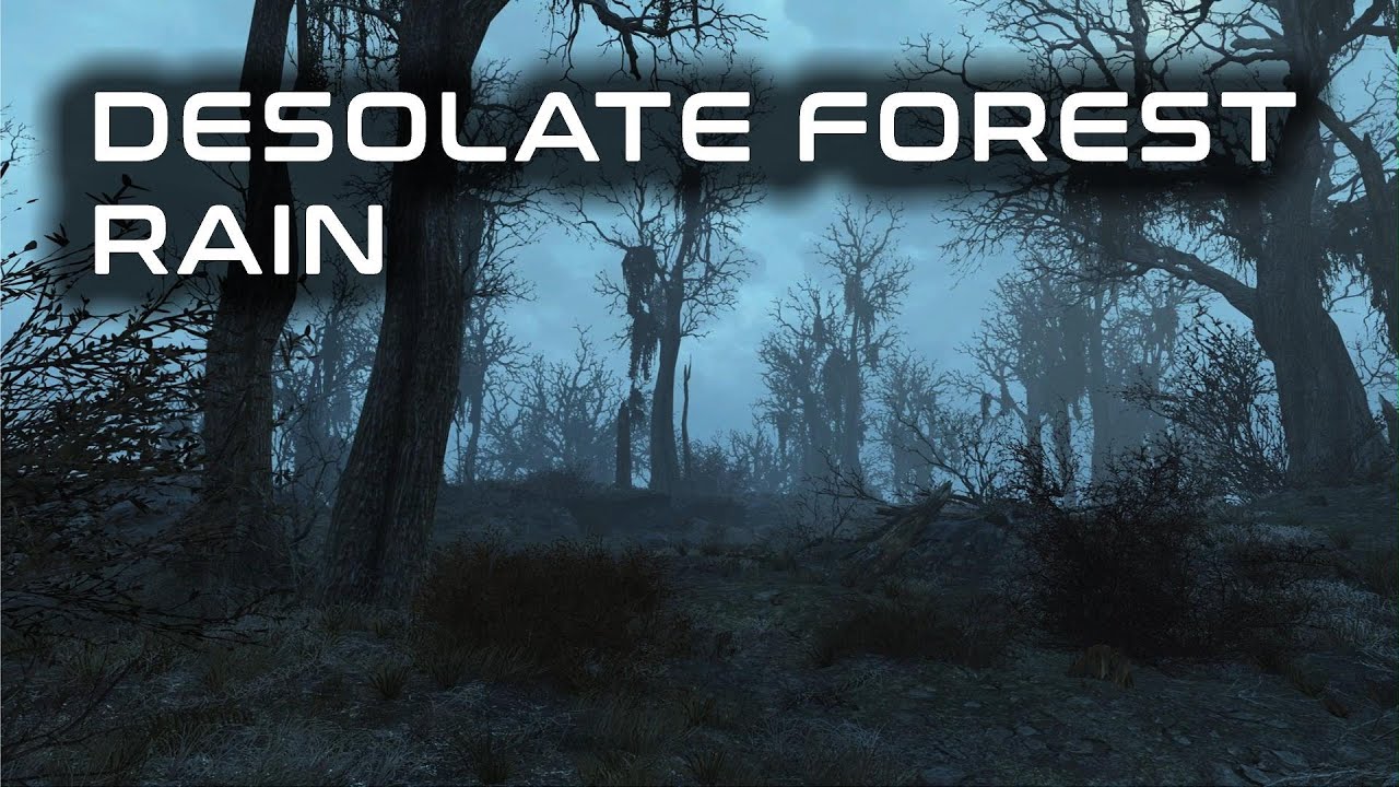 Desolate Forest Rain [ Thunderstorm Ambience ] Fallout 4 - YouTube