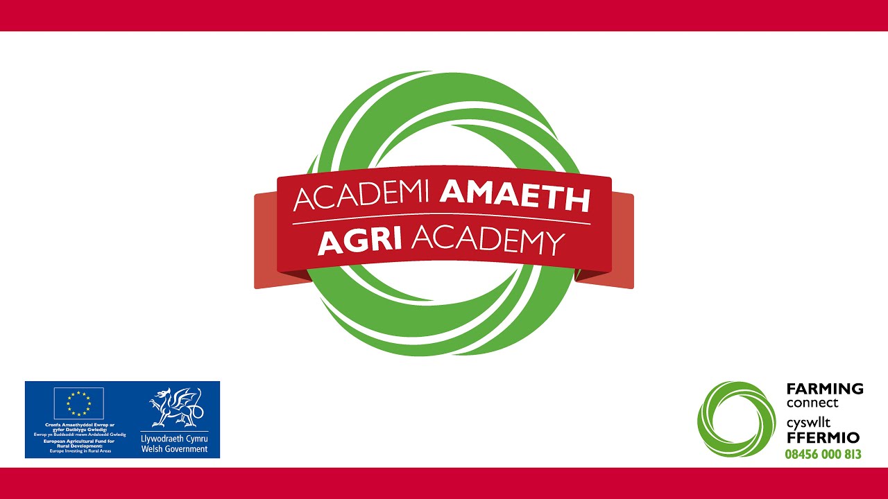Fflur Roberts Academi Amaeth | Agri Academy - YouTube