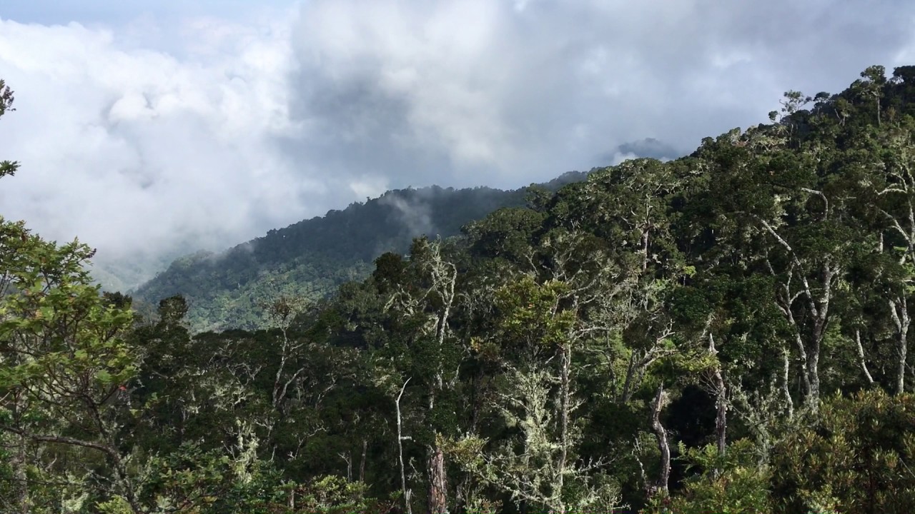 Parque Nacional Chirripó, Páramo - YouTube