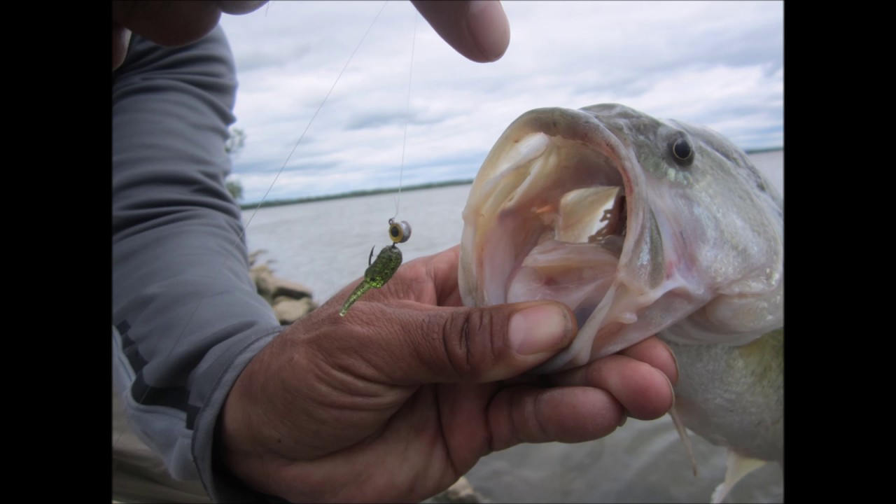 short video fishing off riprap after a strong late April cold front in ...