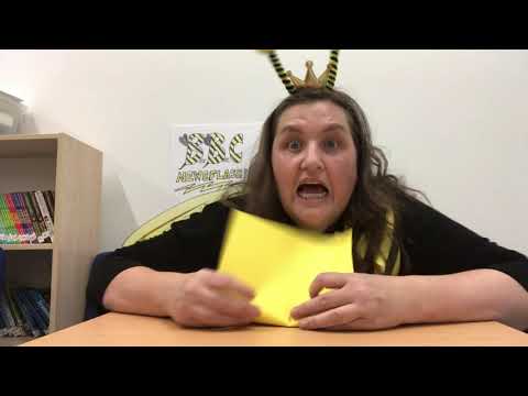 BeeBeeC Newsflash 1 - YouTube