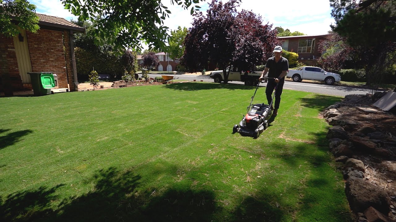 First Mow On Josh's TifTuf Lawn // Tips for New Turf (SOD) - YouTube