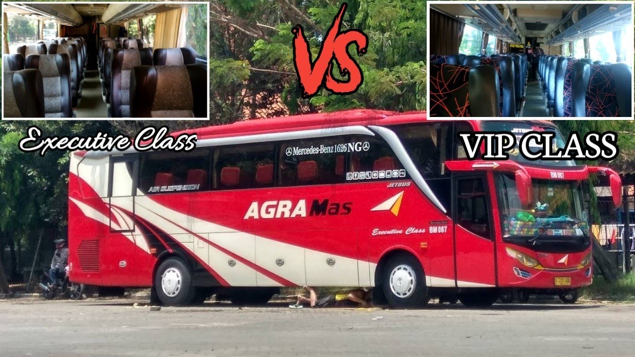 Perbedaan Bus VIP Class dengan Executive Class. - YouTube