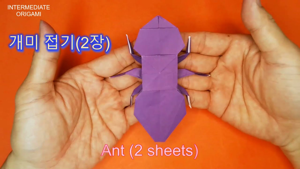 How to fold origami Ant 개미 접기 (2장) - YouTube