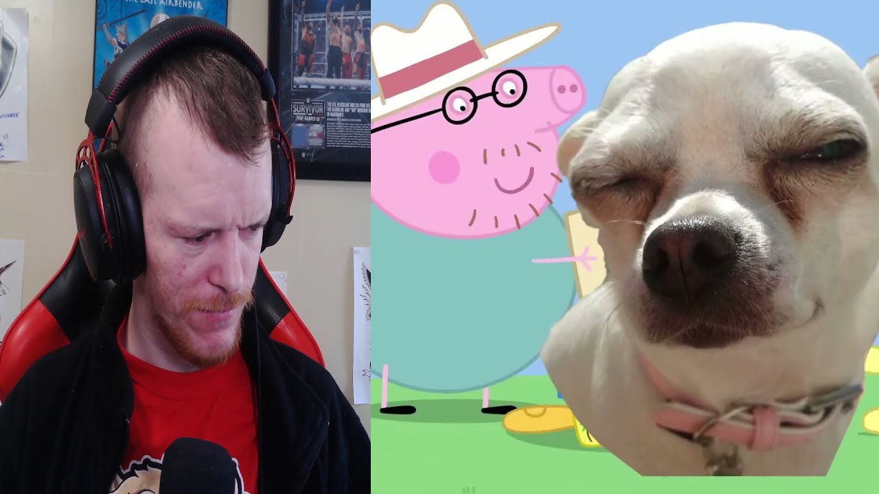 IM CONFUSED!! | Reaction - Daddy Pig is Bad at Life!!! - YouTube