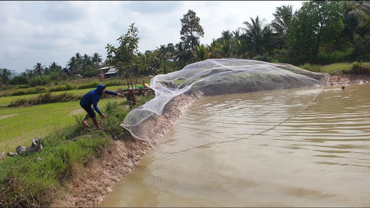 Today with a Big Cast Net at the Western of the Village to Catch Fish ...